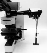 Supporting Fixture - Mightex : Mightex